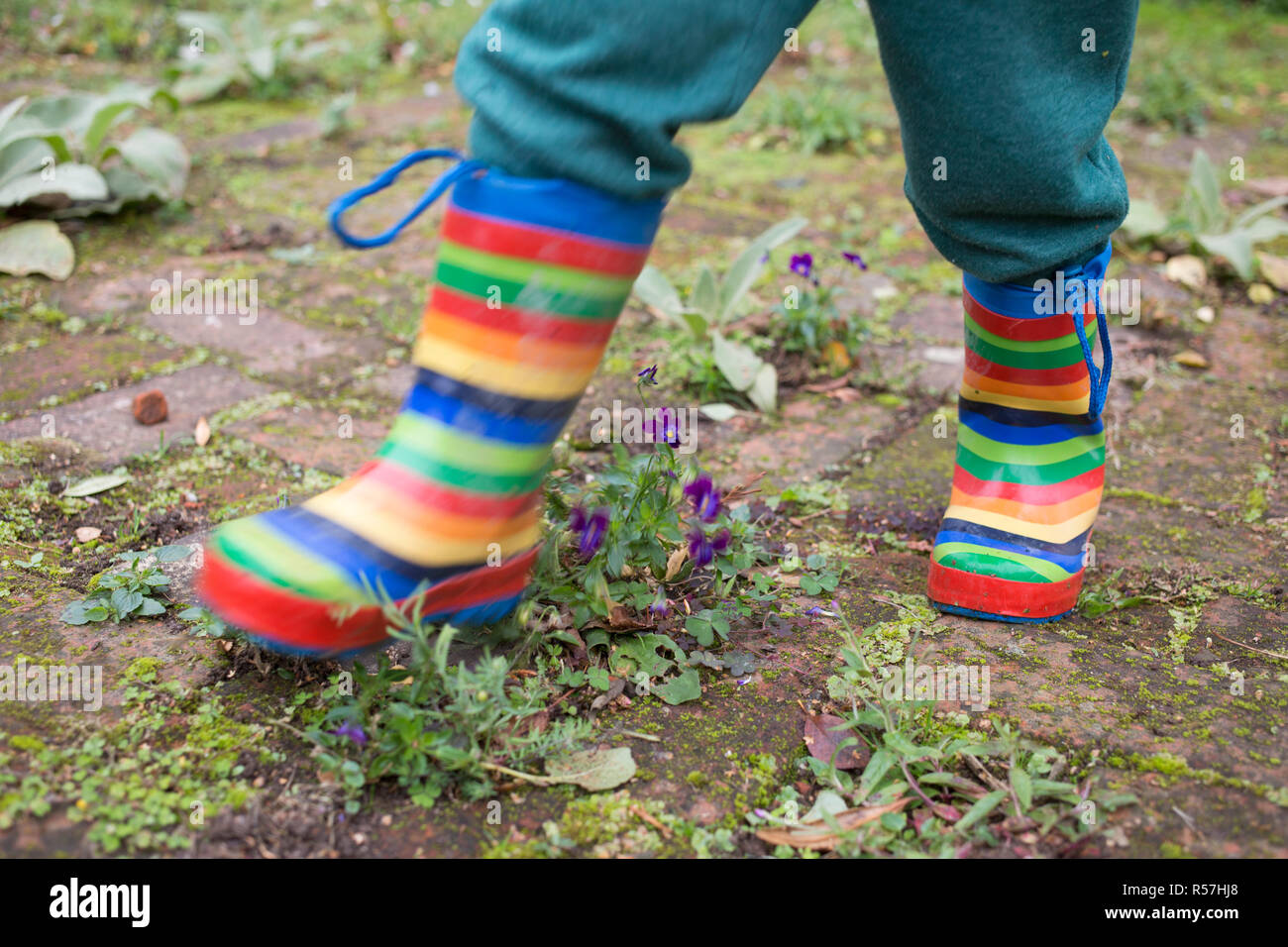 Wellies And Flowers Stock Photos & Wellies And Flowers Stock Images - Alamy