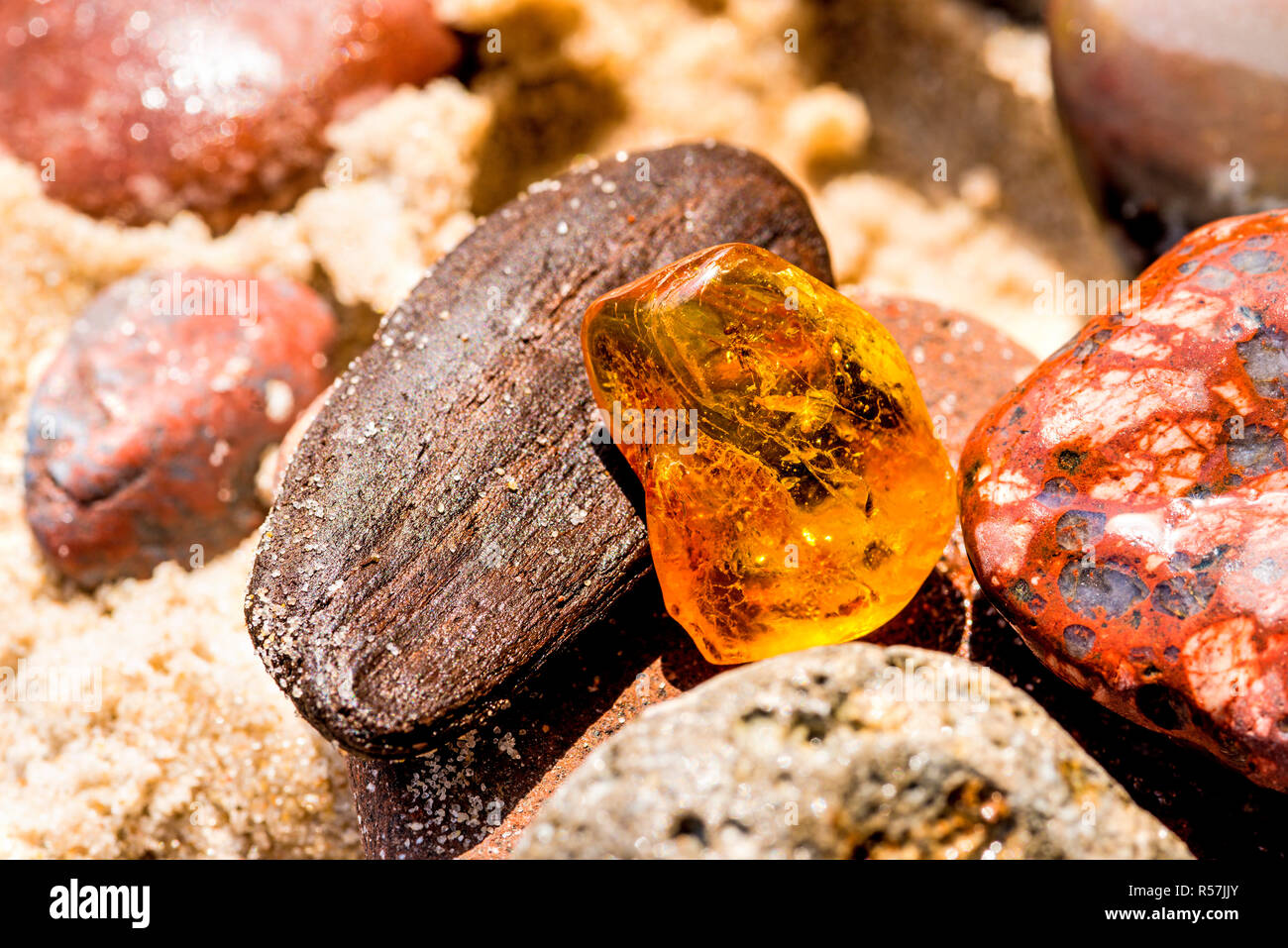 amber on the baltic sea beach Stock Photo - Alamy