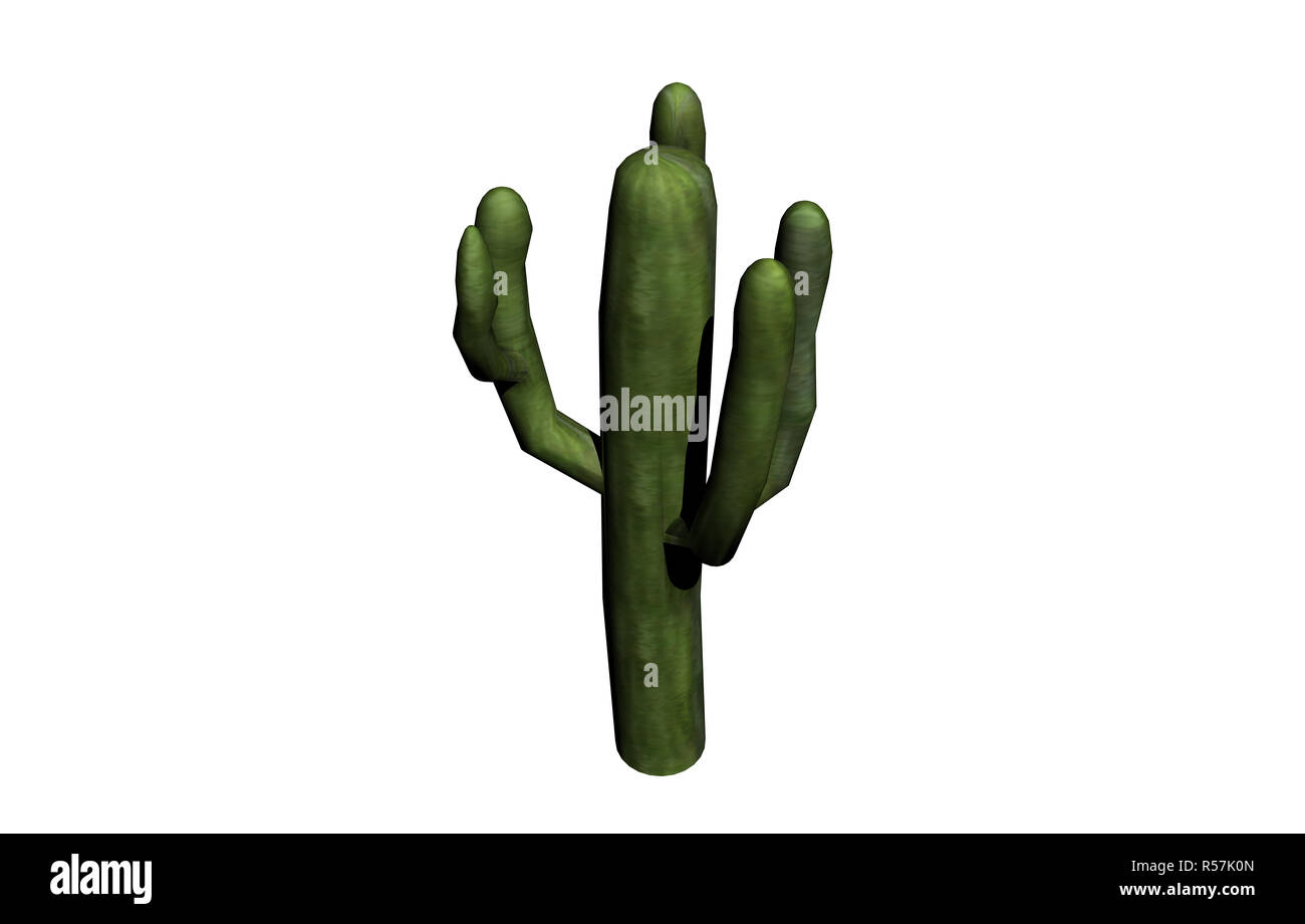 columnus cactus in the desert isolated Stock Photo - Alamy
