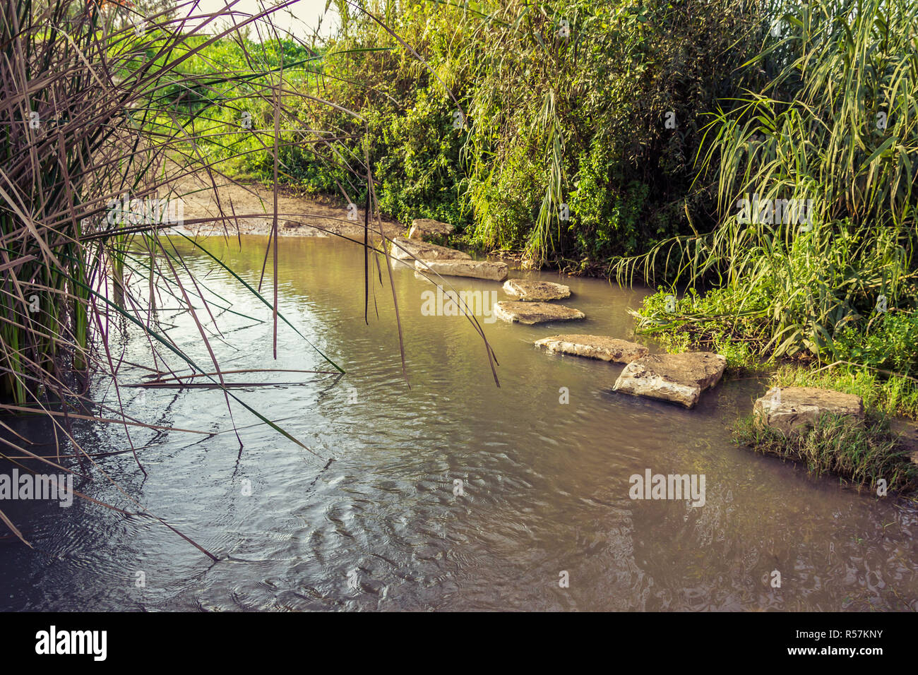 Yakon national park hi-res stock photography and images - Alamy