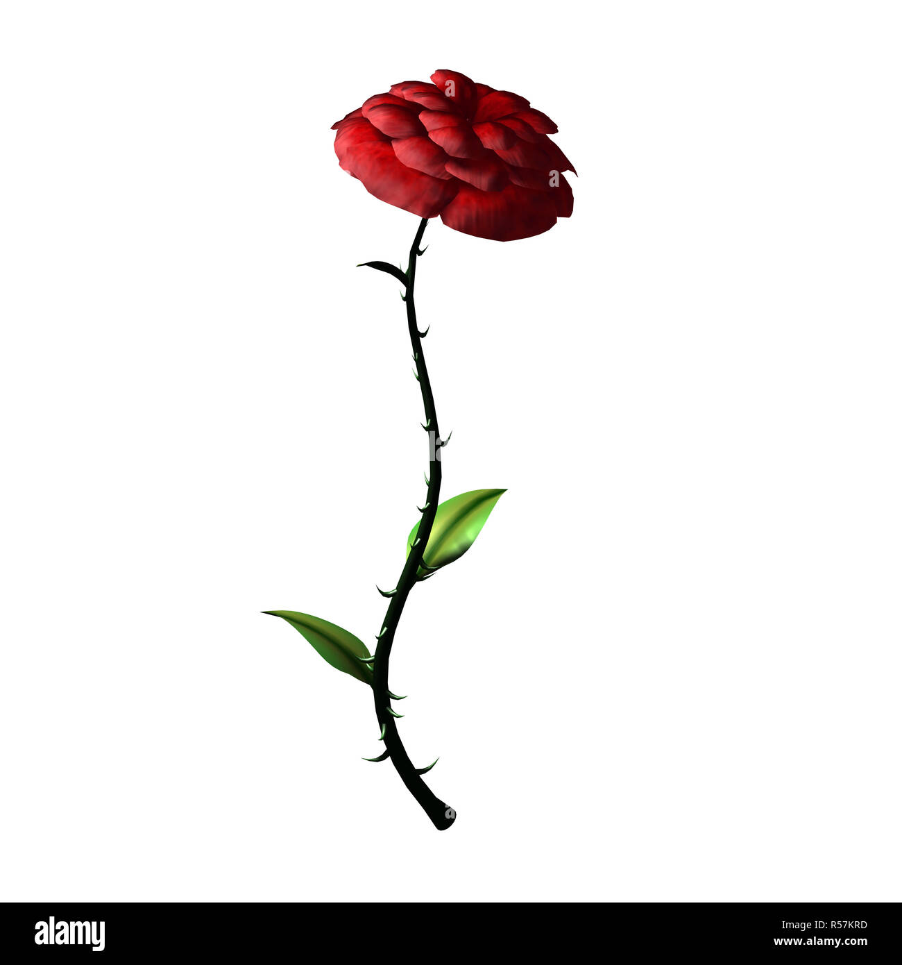 Red Rose With Stem And Thorns