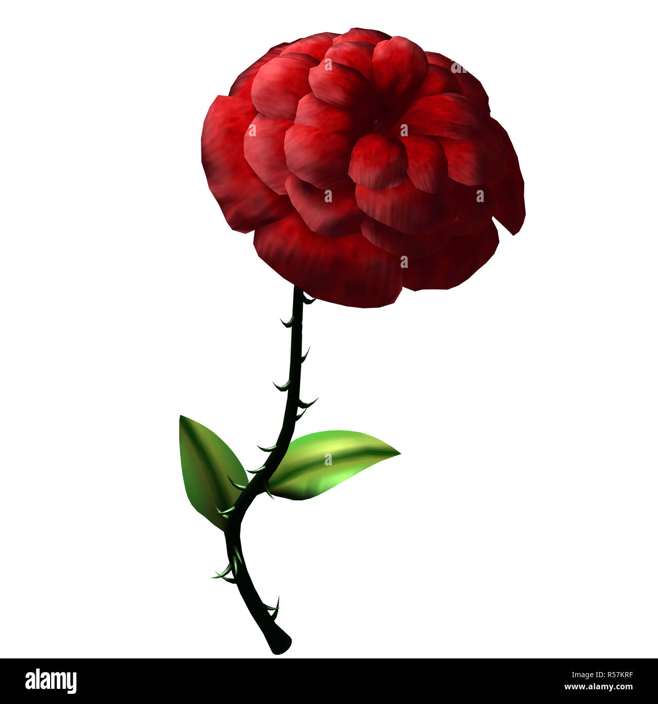 rose with stem and thorns free Stock Photo - Alamy