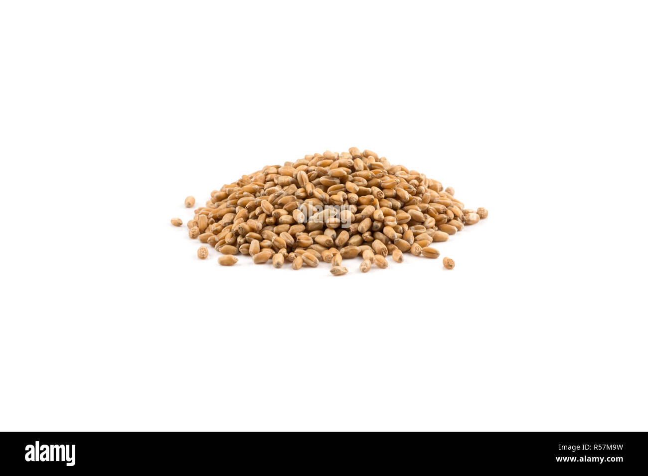 Wheat grain on white Stock Photo - Alamy