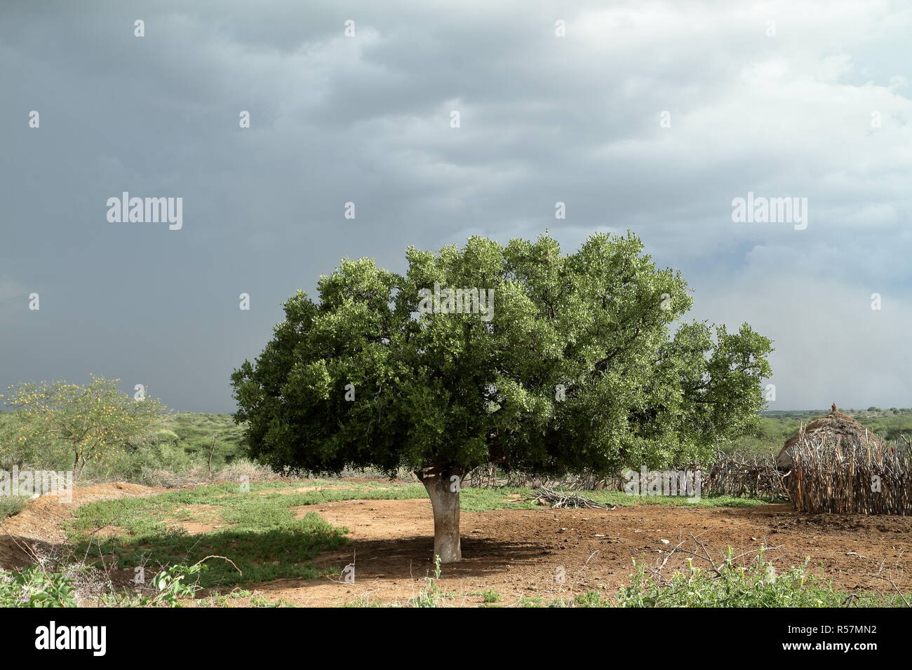 the landscape of the omo valley in ethiopia Stock Photo - Alamy