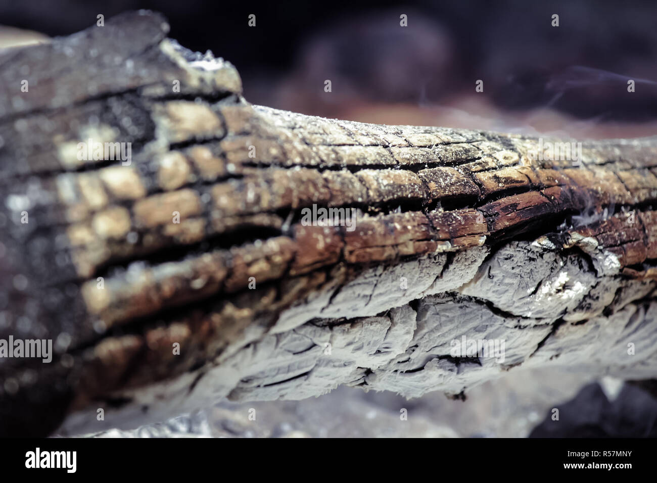 Burned tents hi-res stock photography and images - Alamy