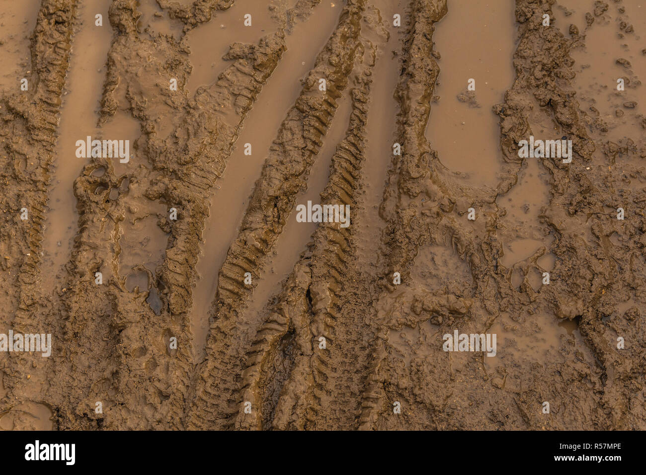 Texture of wet brown mud with bicycle tyre tracks Stock Photo - Alamy
