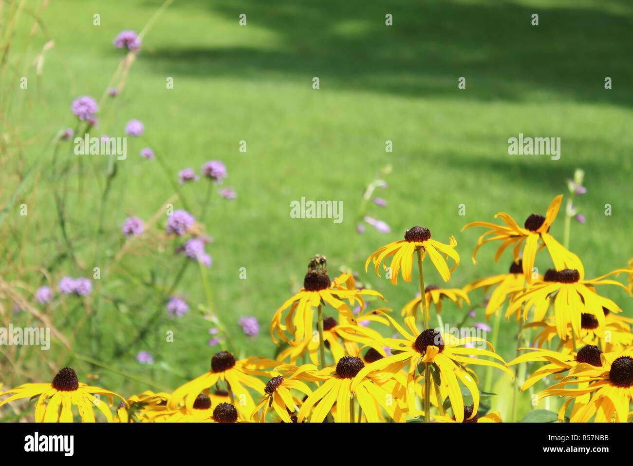 Nature urbain du quebec hi-res stock photography and images - Alamy