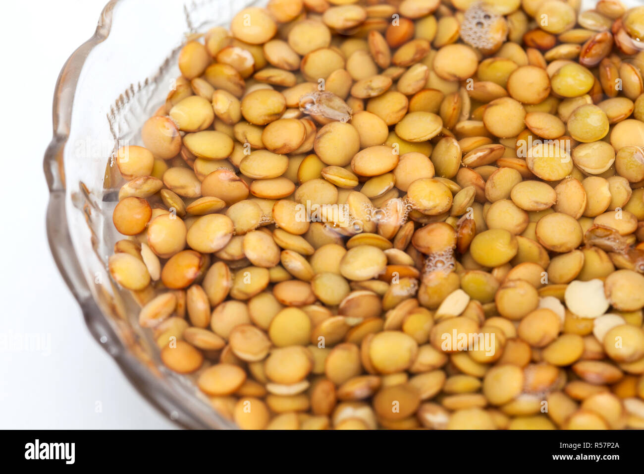 Overnight Soaked lentils on white background Stock Photo - Alamy