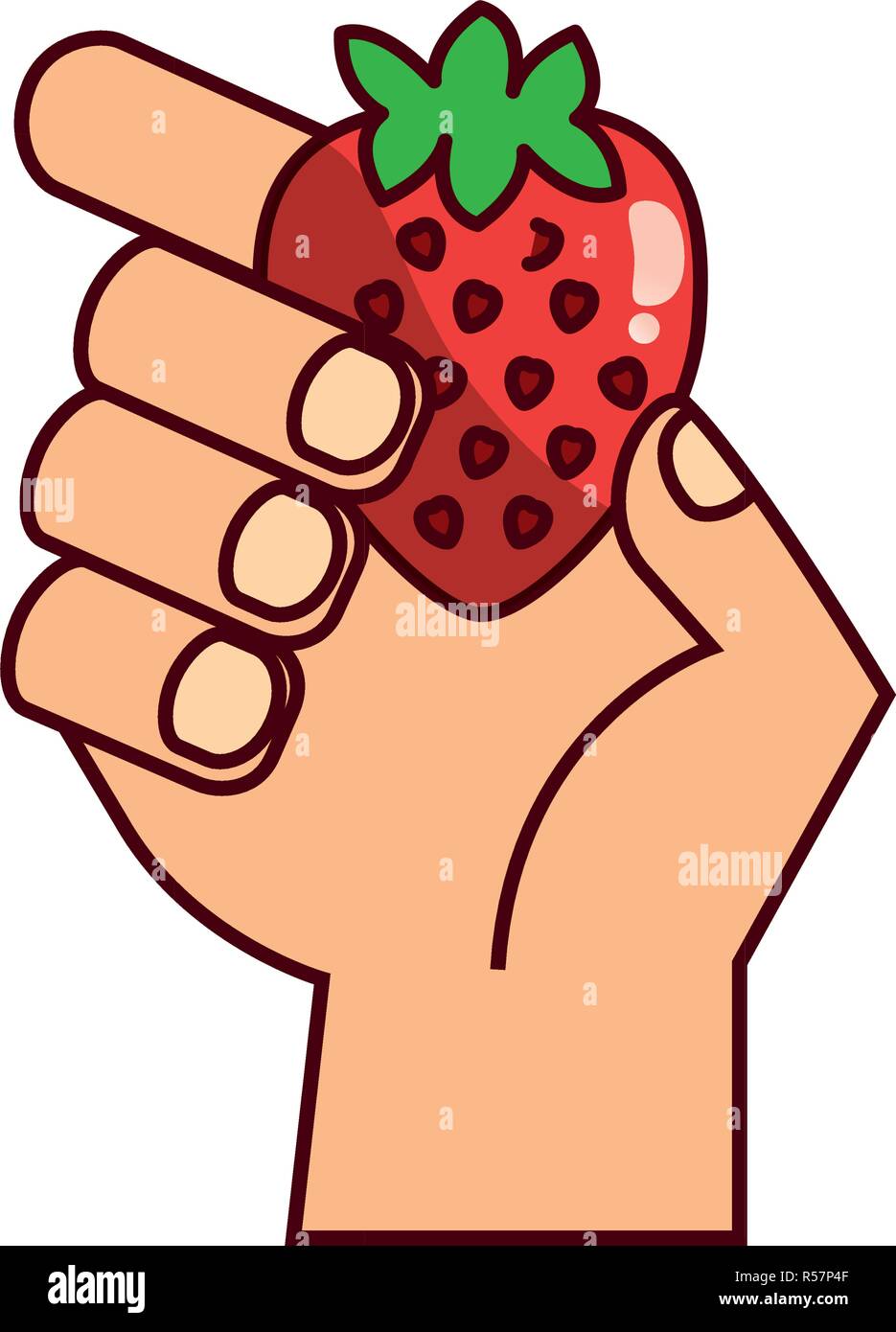 hand with strawberry on white background vector illustration Stock ...