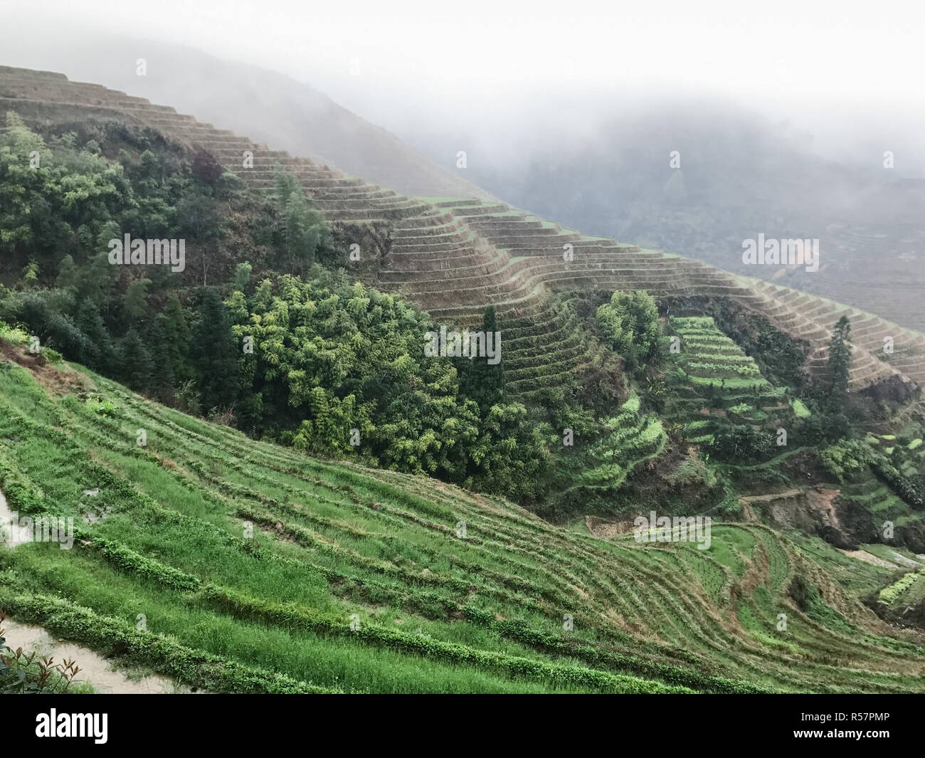 terraced rice fields near view point in rain Stock Photo - Alamy