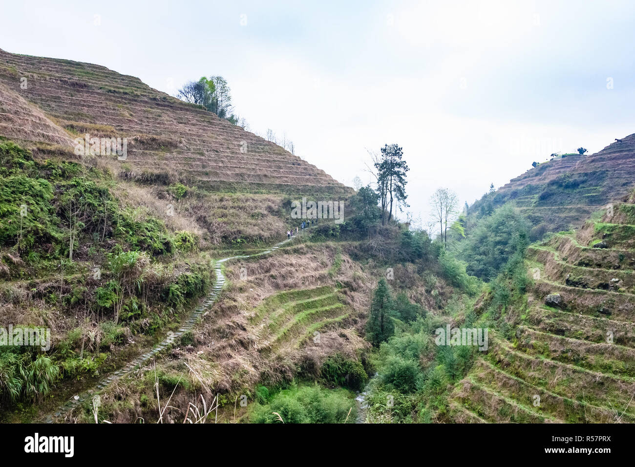 terraced slope of hills near Dazhai village Stock Photo - Alamy