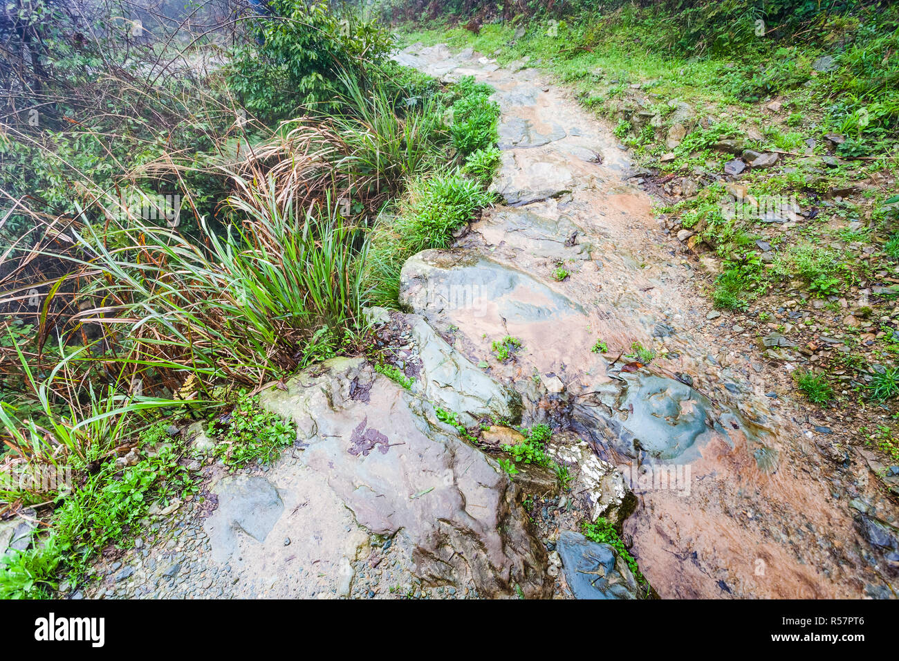 wet pathway on terraced hill in Dazhai Stock Photo - Alamy