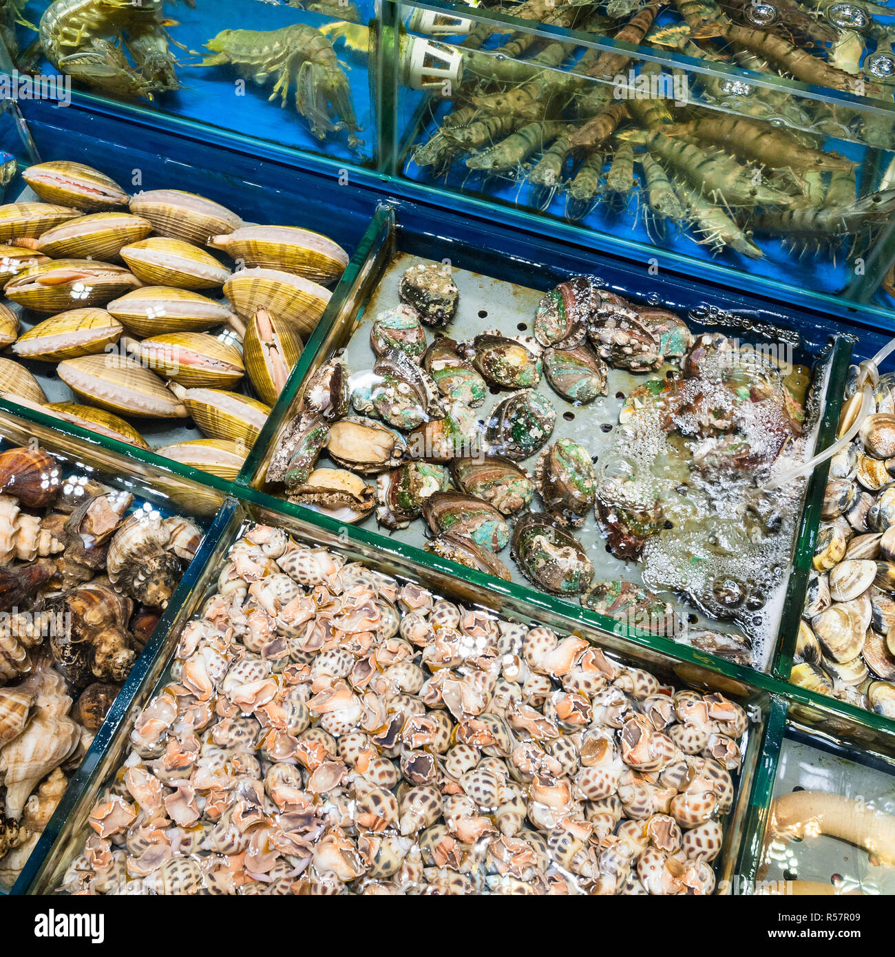 clams and prawns in fish market in Guangzhou city Stock Photo - Alamy