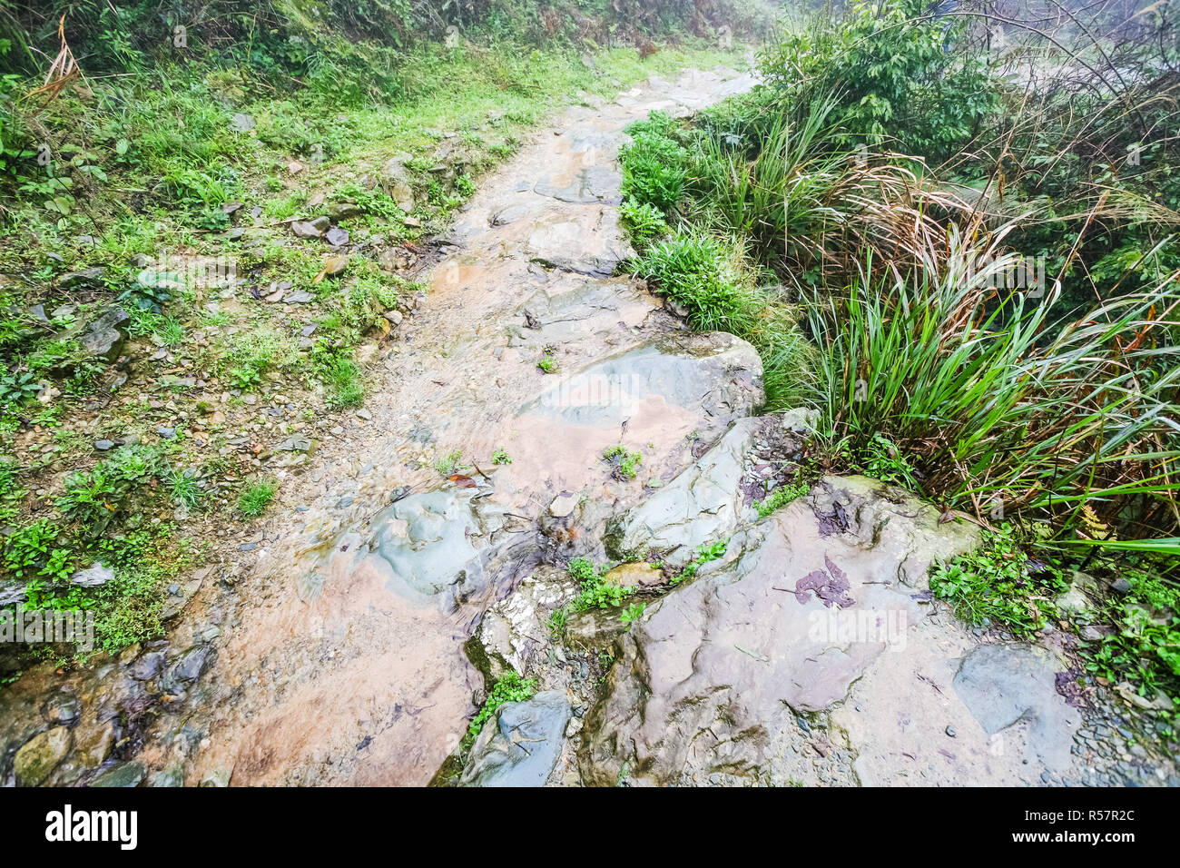 Walk on rice terrace hi-res stock photography and images - Alamy