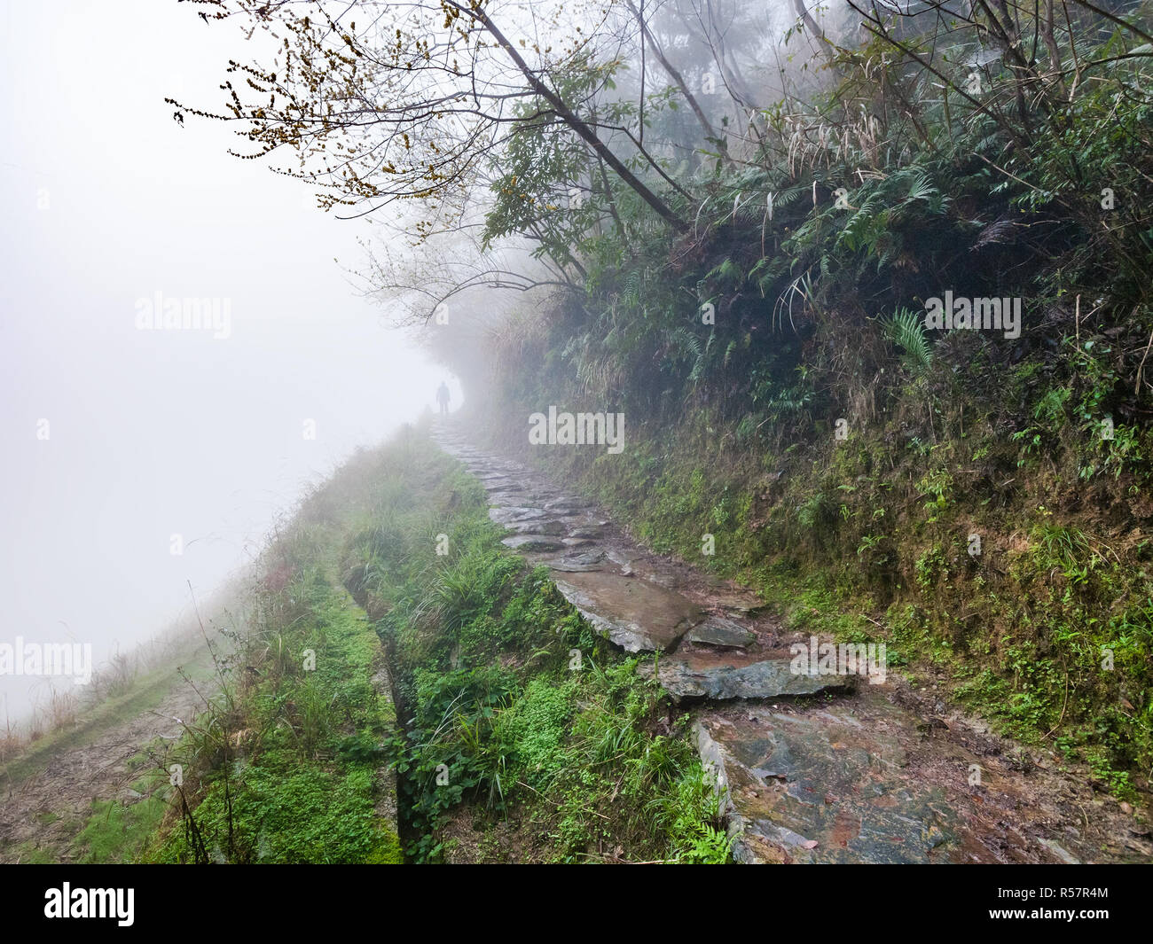 wet path on hill slope in rainy misty spring day Stock Photo - Alamy