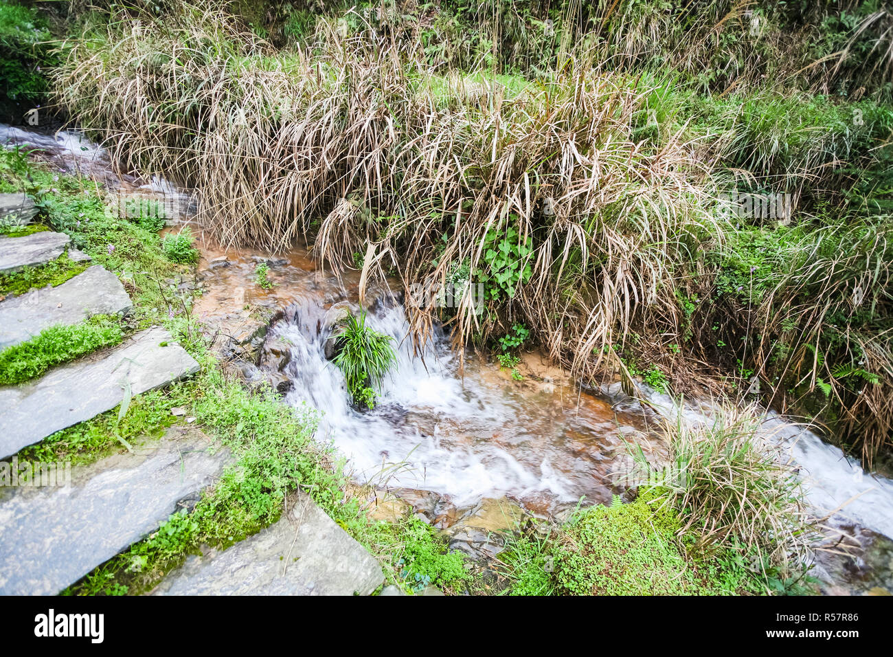 steps and stream on slope of hill near Tiantouzhai Stock Photo - Alamy