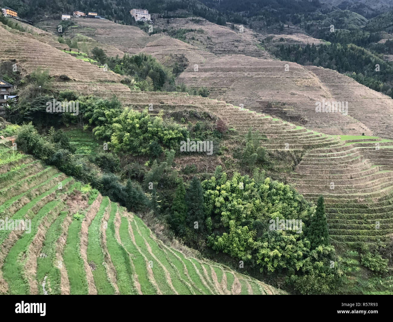 view of terraced paddy area in Dazhai village Stock Photo - Alamy
