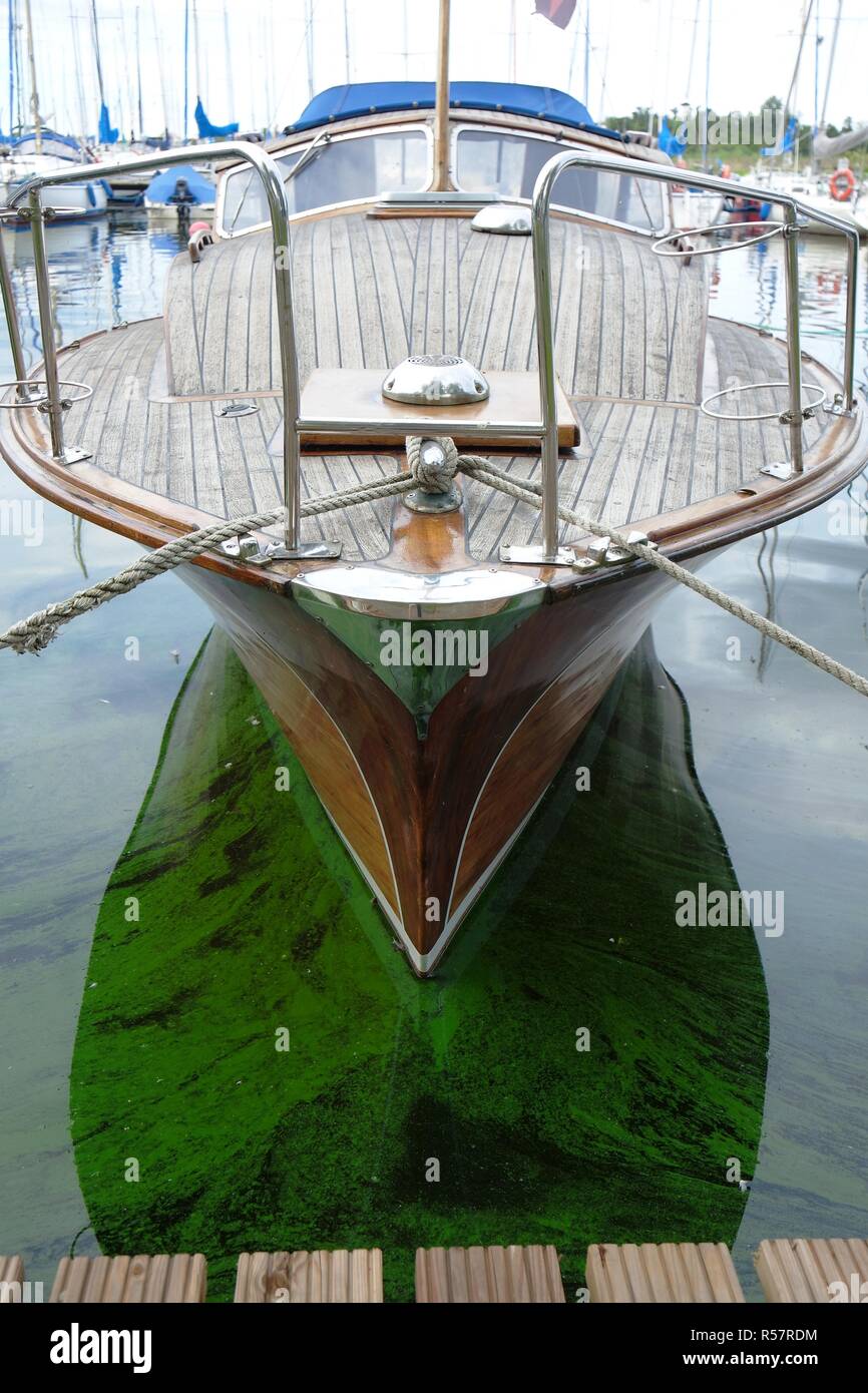 Bootsbug hi-res stock photography and images - Alamy