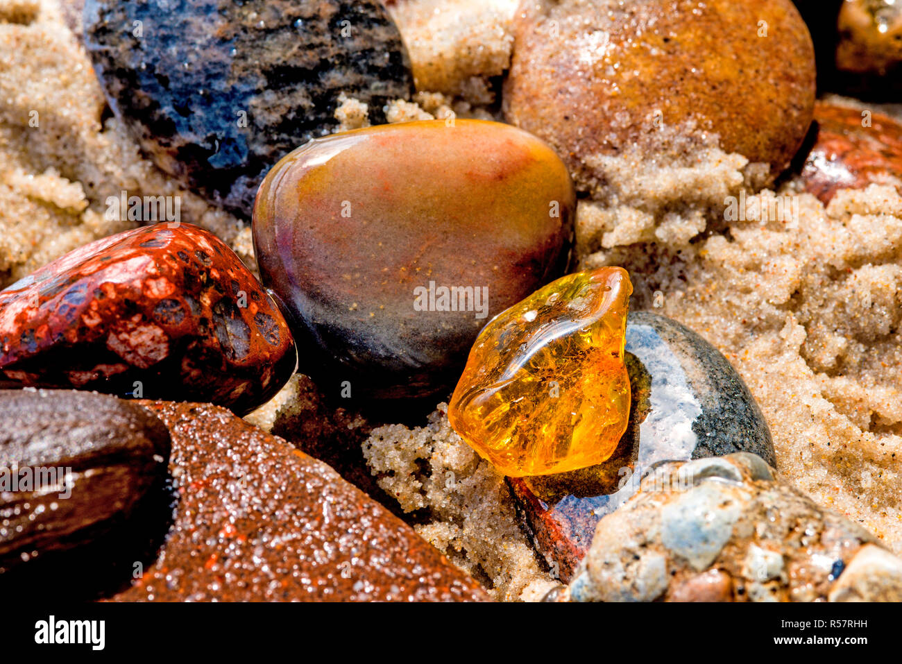 amber on the baltic sea beach Stock Photo - Alamy