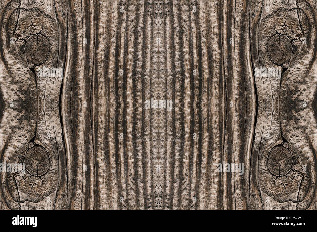 Texture of a brown tree, big size background Stock Photo - Alamy