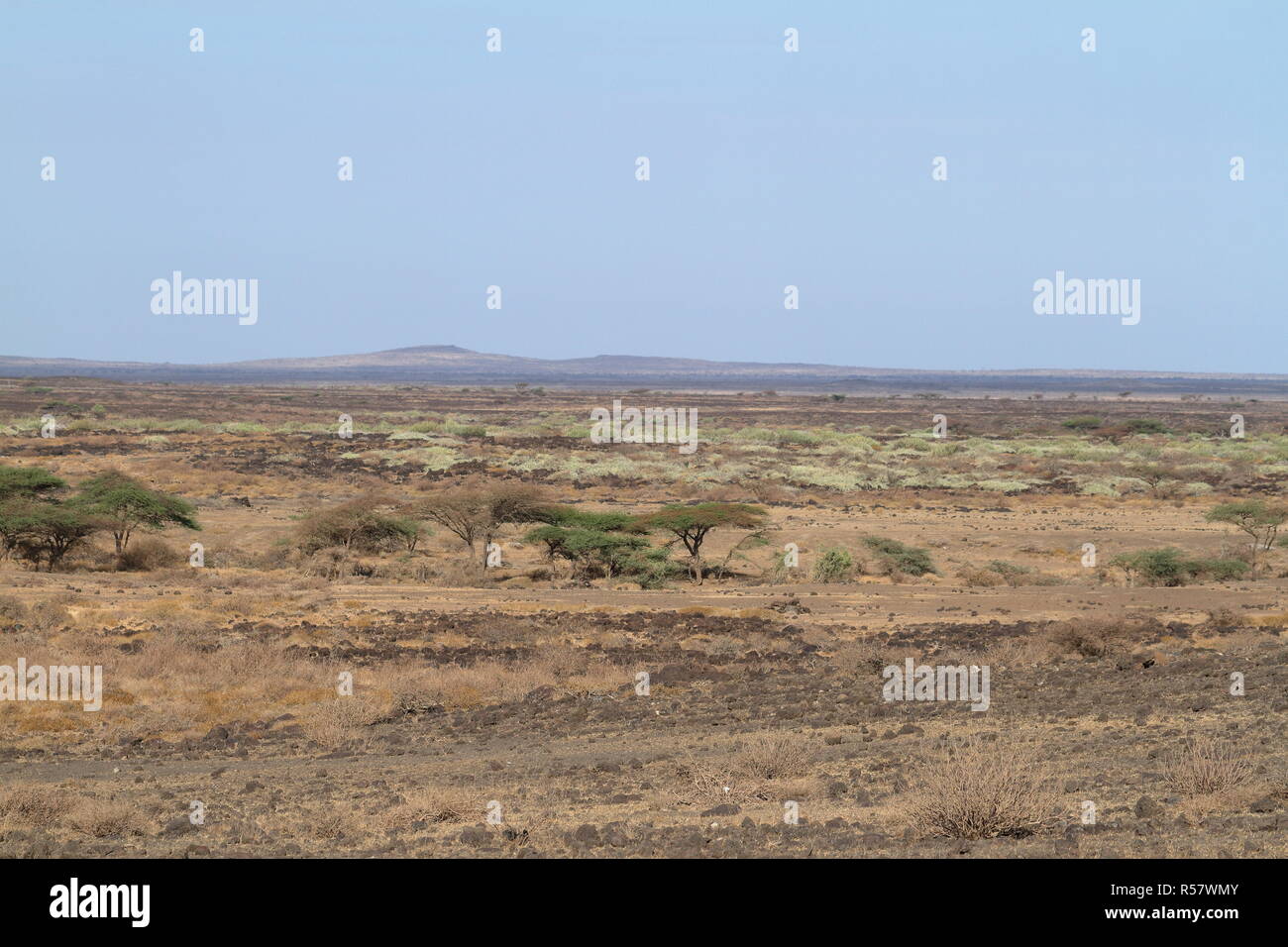 the savanna and bush land in kenya Stock Photo - Alamy