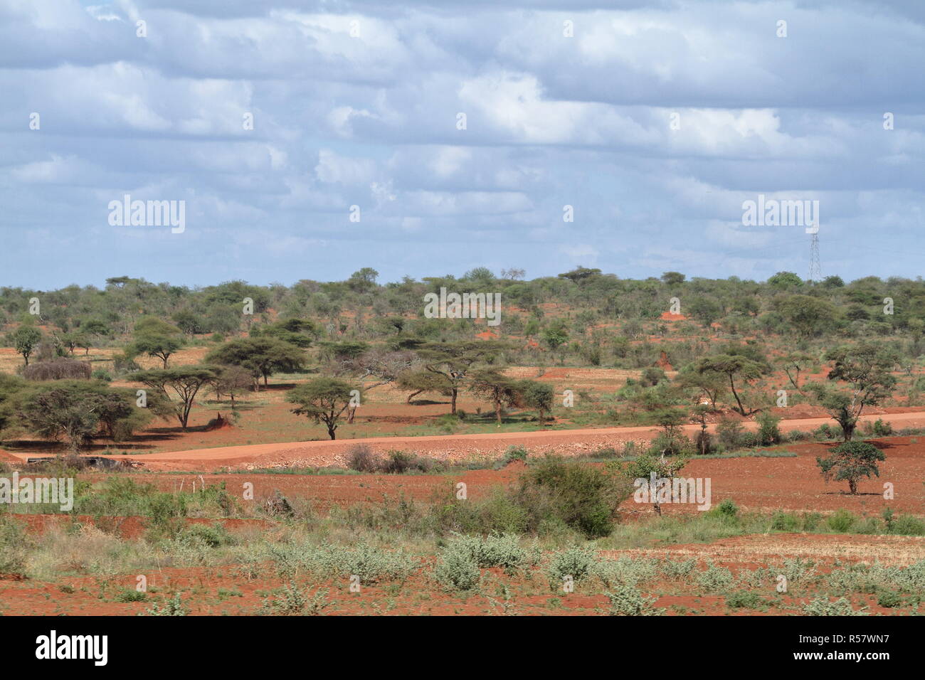 the savanna and bush land in kenya Stock Photo - Alamy
