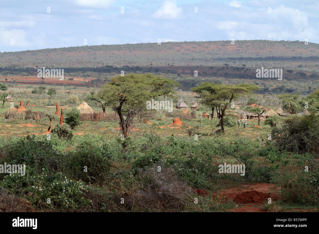 the savanna and bush land in kenya Stock Photo - Alamy