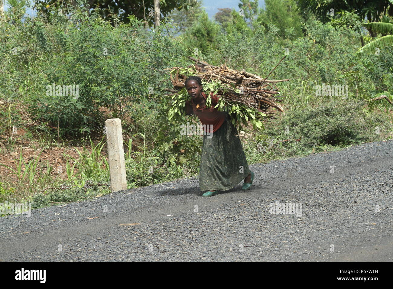 Kenja hi-res stock photography and images - Alamy