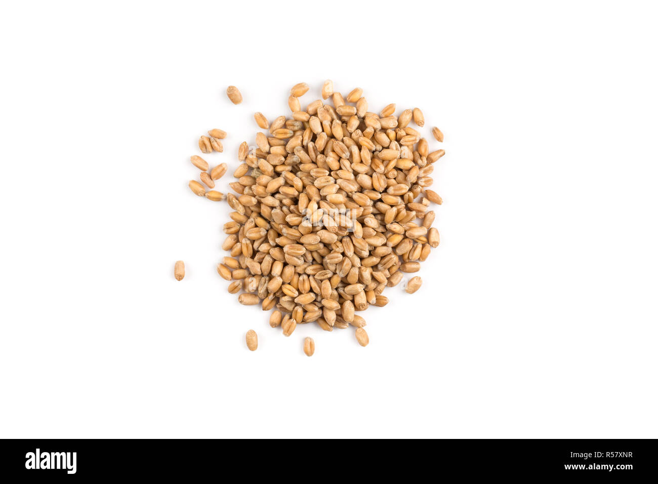 Wheat grain on white Stock Photo - Alamy