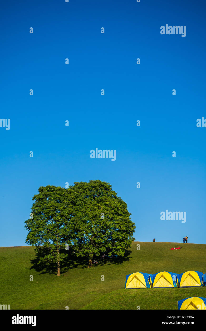 landscape of tree with blue sky Stock Photo - Alamy