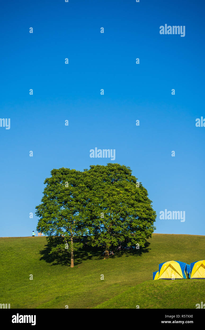 landscape of tree with blue sky Stock Photo - Alamy