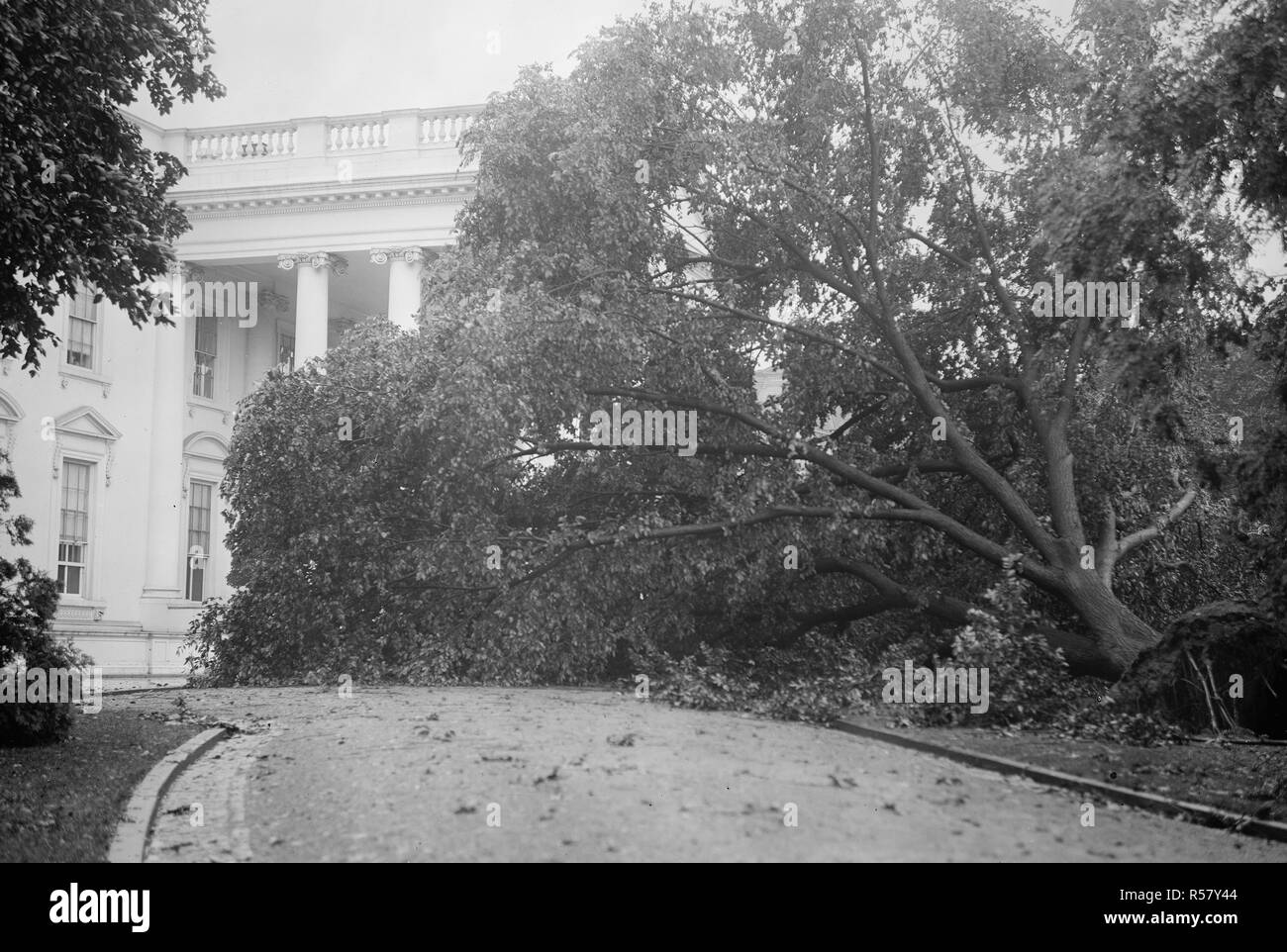 House with drive Black and White Stock Photos & Images - Alamy