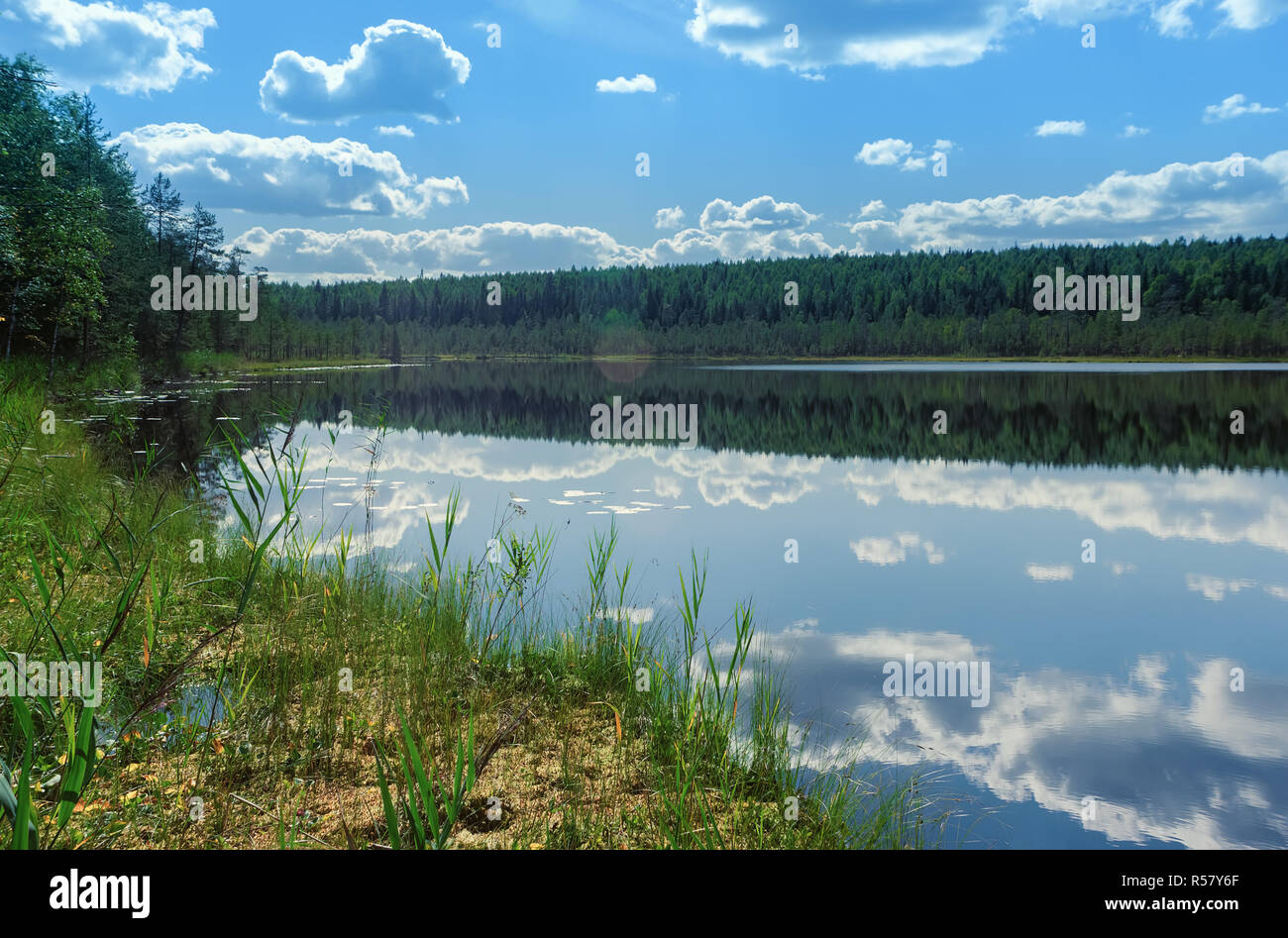 Summer Landscape With Sky Reflection On A Water Stock Photo - Alamy