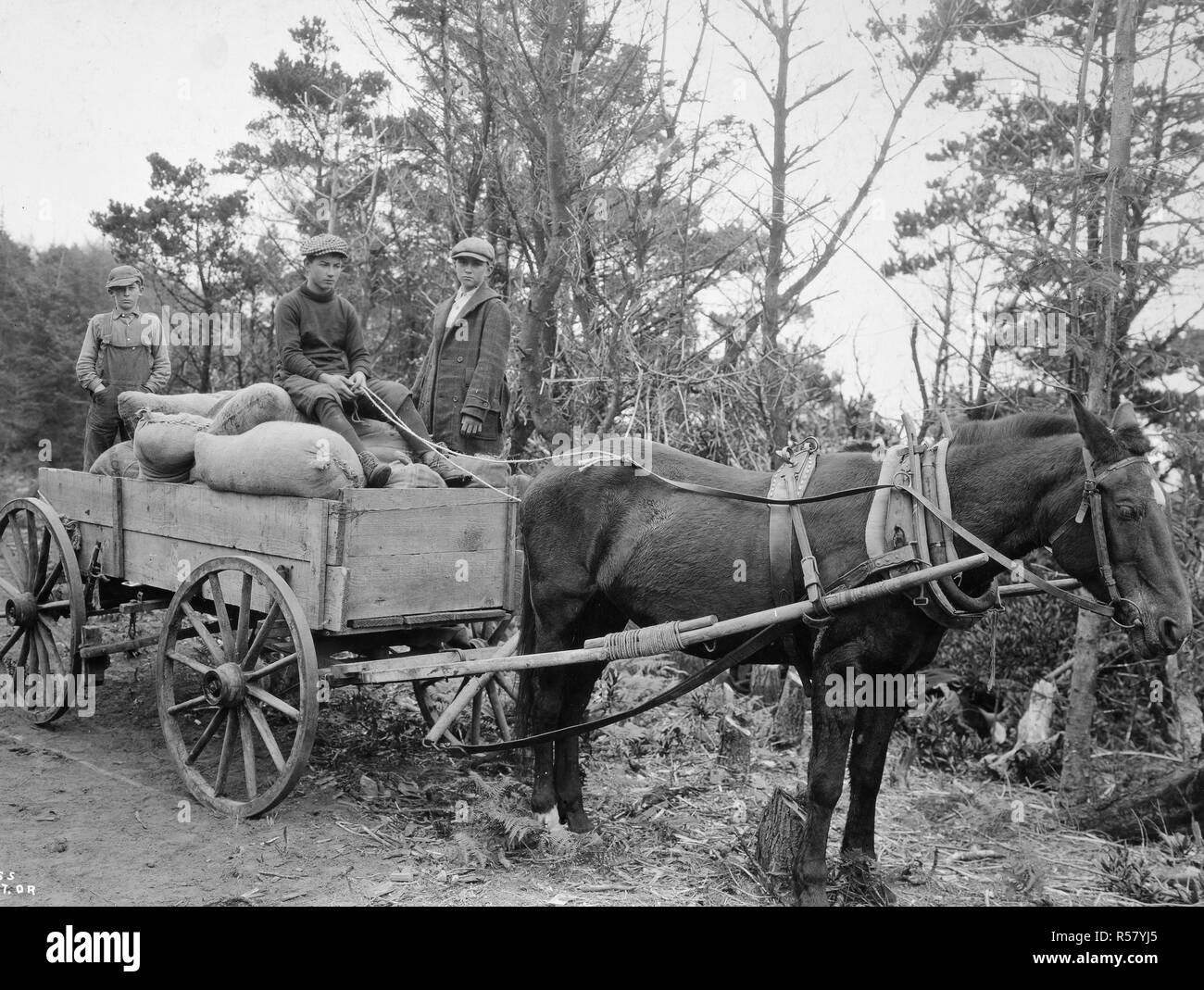Early 1900s horse drawn wagon hi-res stock photography and images - Alamy