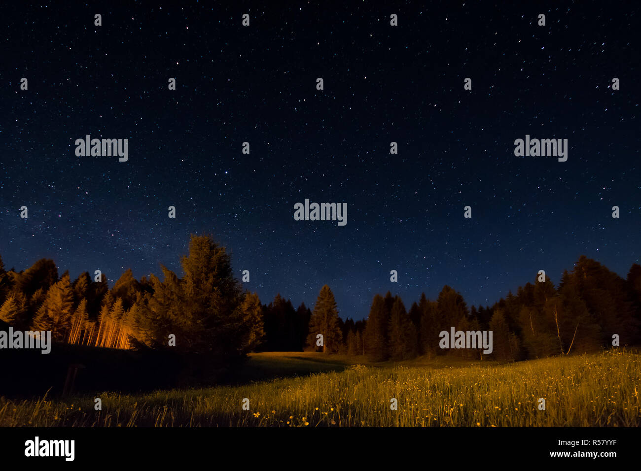 Night landscape under starlight Stock Photo - Alamy