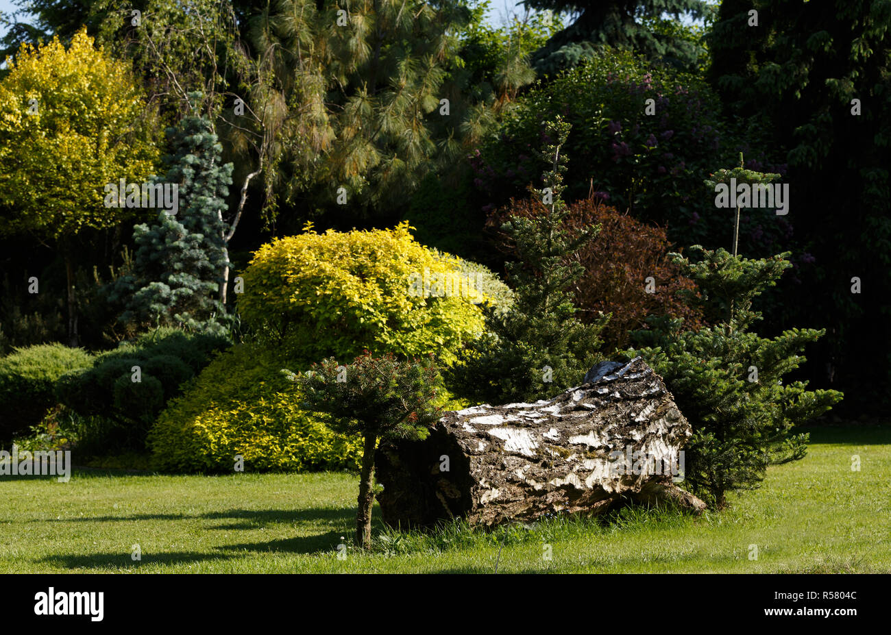 colorful spring garden Stock Photo - Alamy
