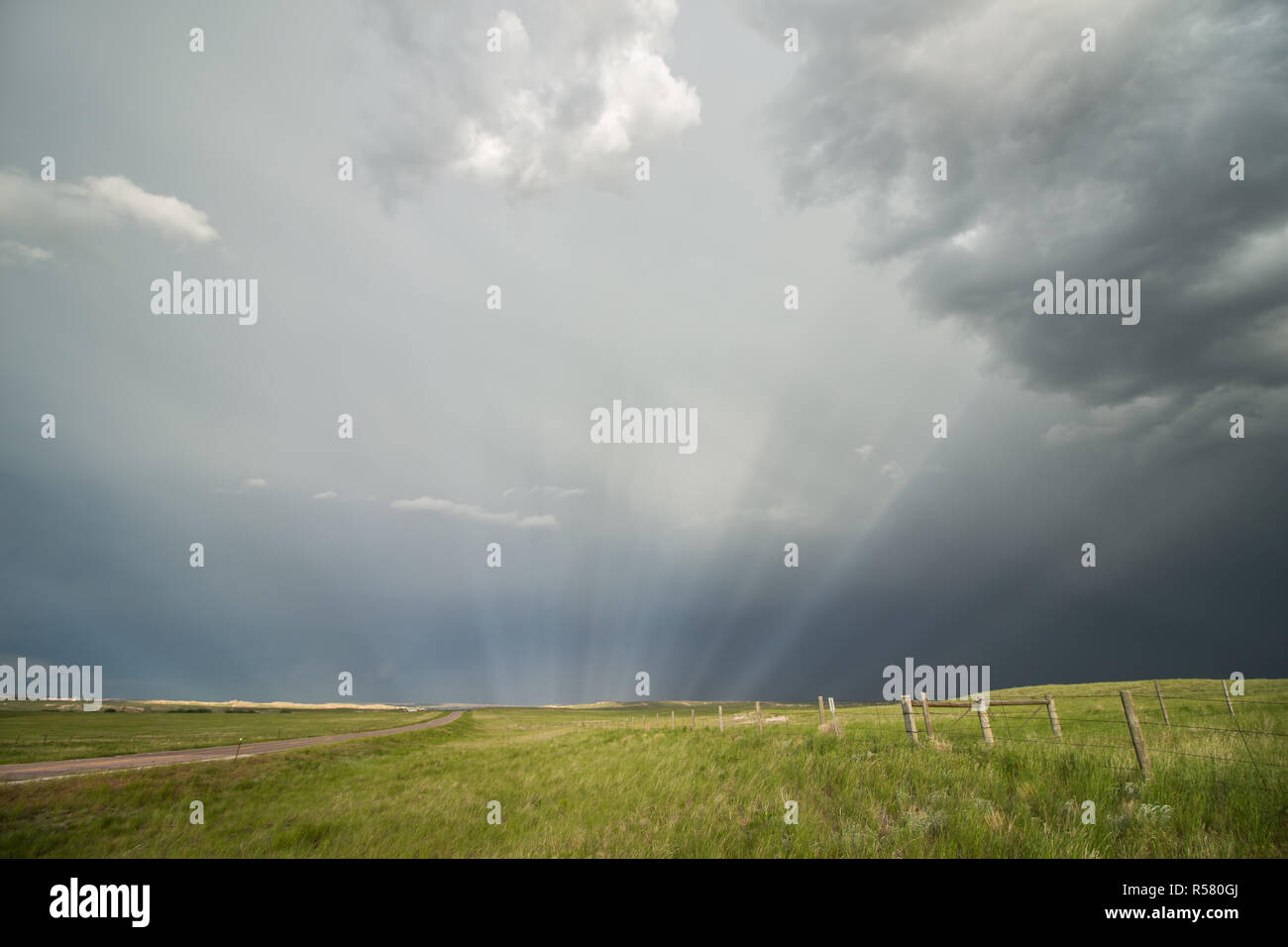 Diverging, road, sun hi-res stock photography and images - Alamy