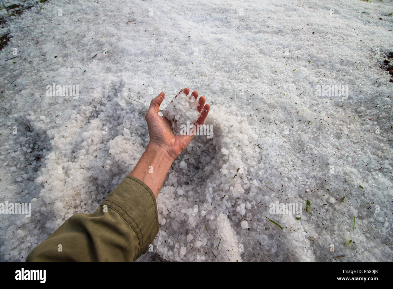 Storm chaser scoops up a handful of hail dropped by a severe ...