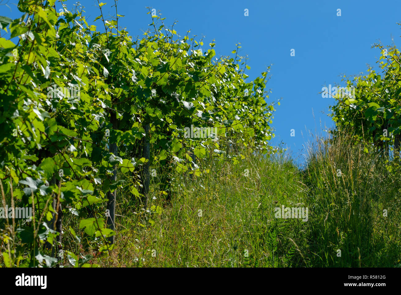 Grew sky hi-res stock photography and images - Alamy