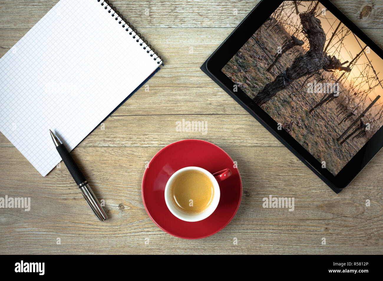 vine in vineyard as image in tablet with block and pens Stock Photo - Alamy