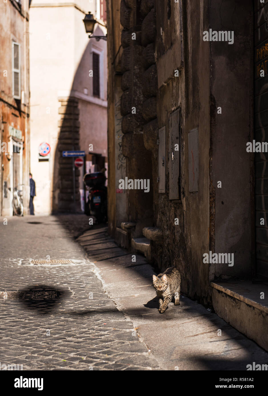 Small street in the centre of Rome, Italy Stock Photo - Alamy