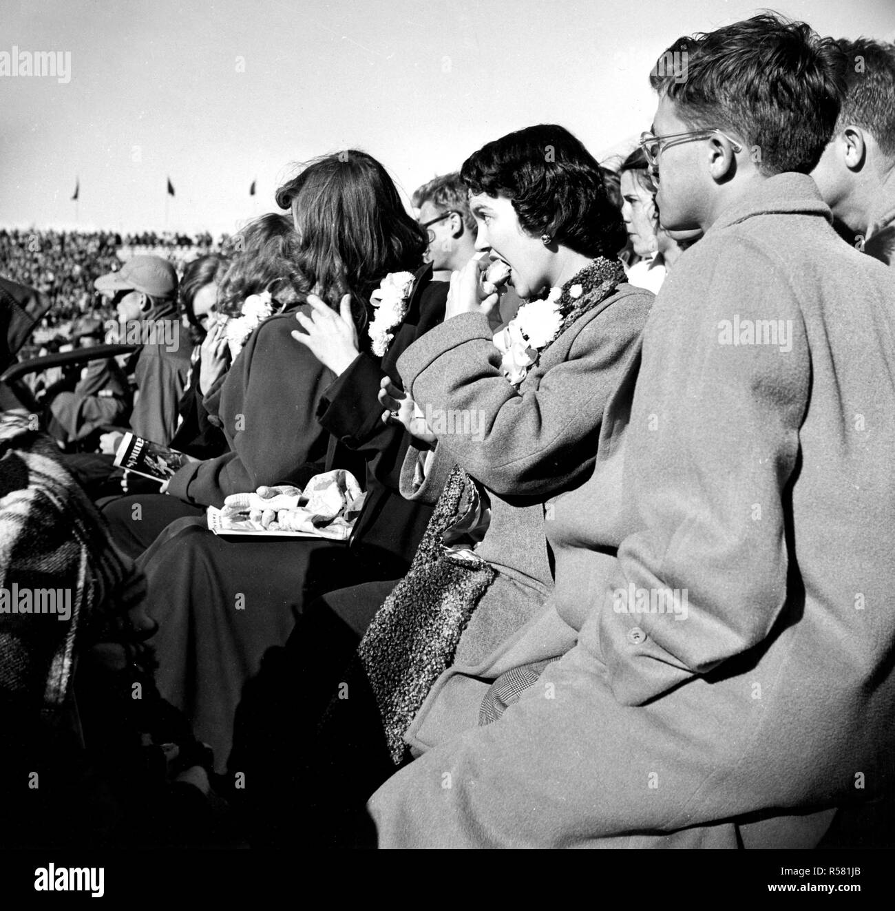 Football crowd 1950s hi-res stock photography and images - Alamy