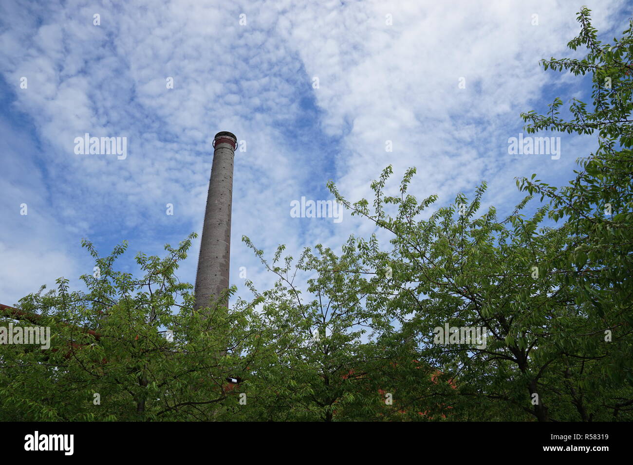 spring in the netherlands Stock Photo - Alamy