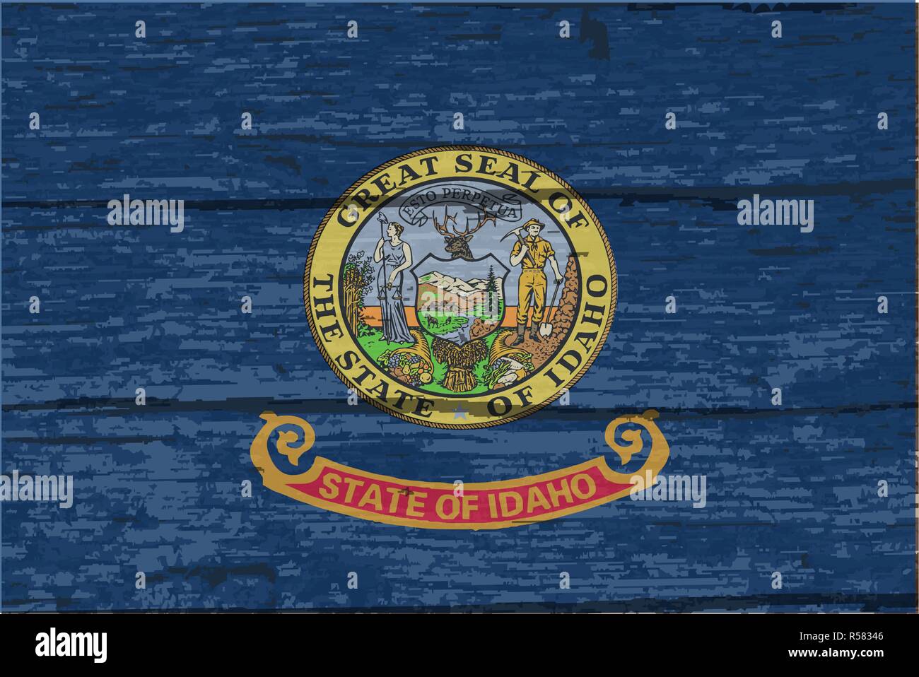 The flag of the USA state of Idaho Stock Vector Image & Art - Alamy