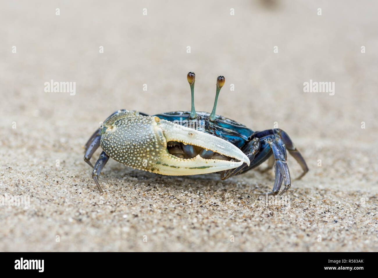 Npper hi-res stock photography and images - Alamy