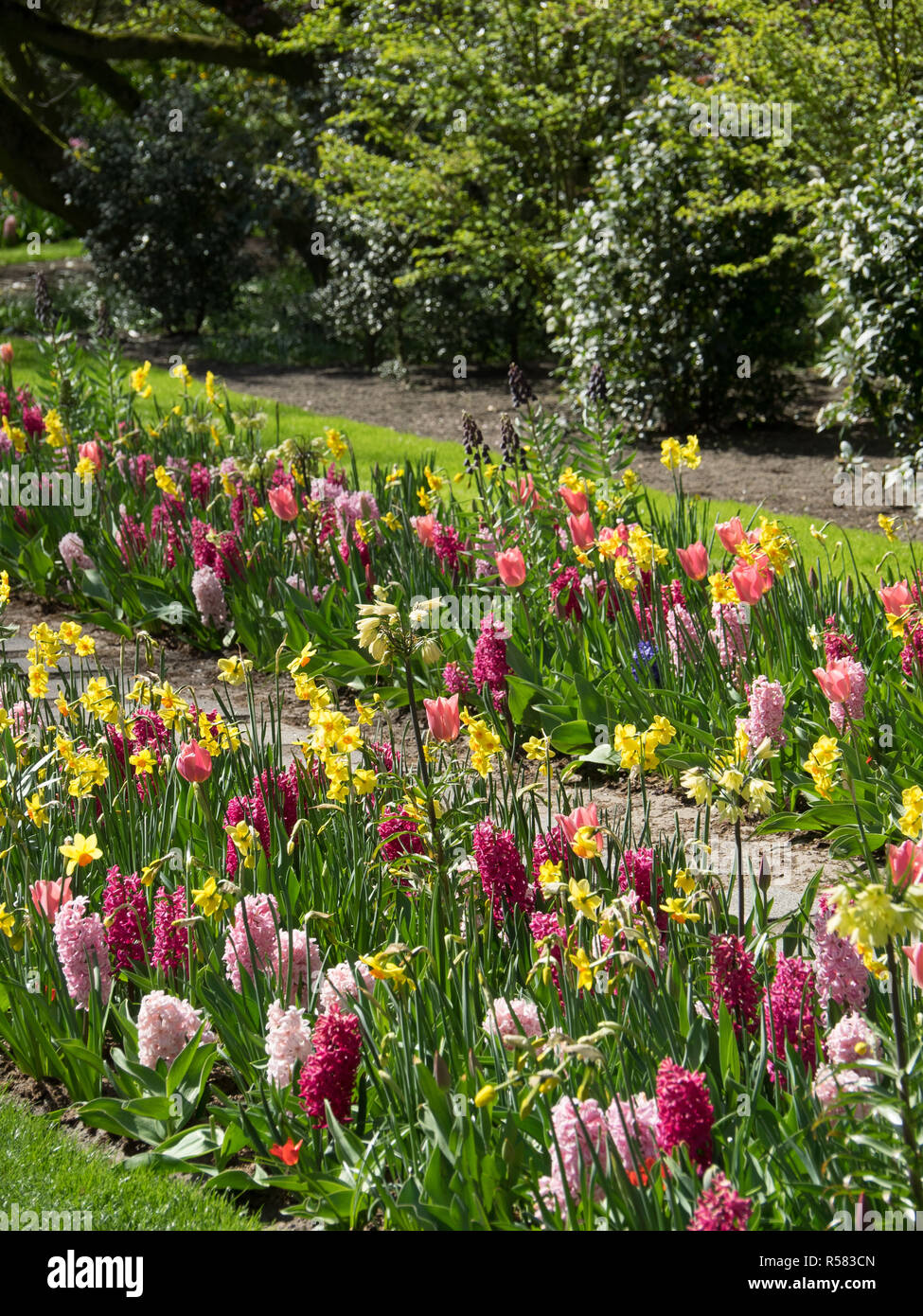 spring in the netherlands Stock Photo - Alamy