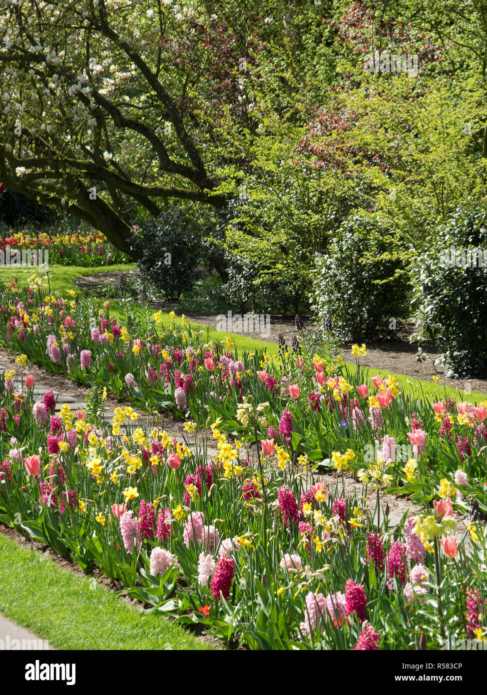 spring in the netherlands Stock Photo - Alamy