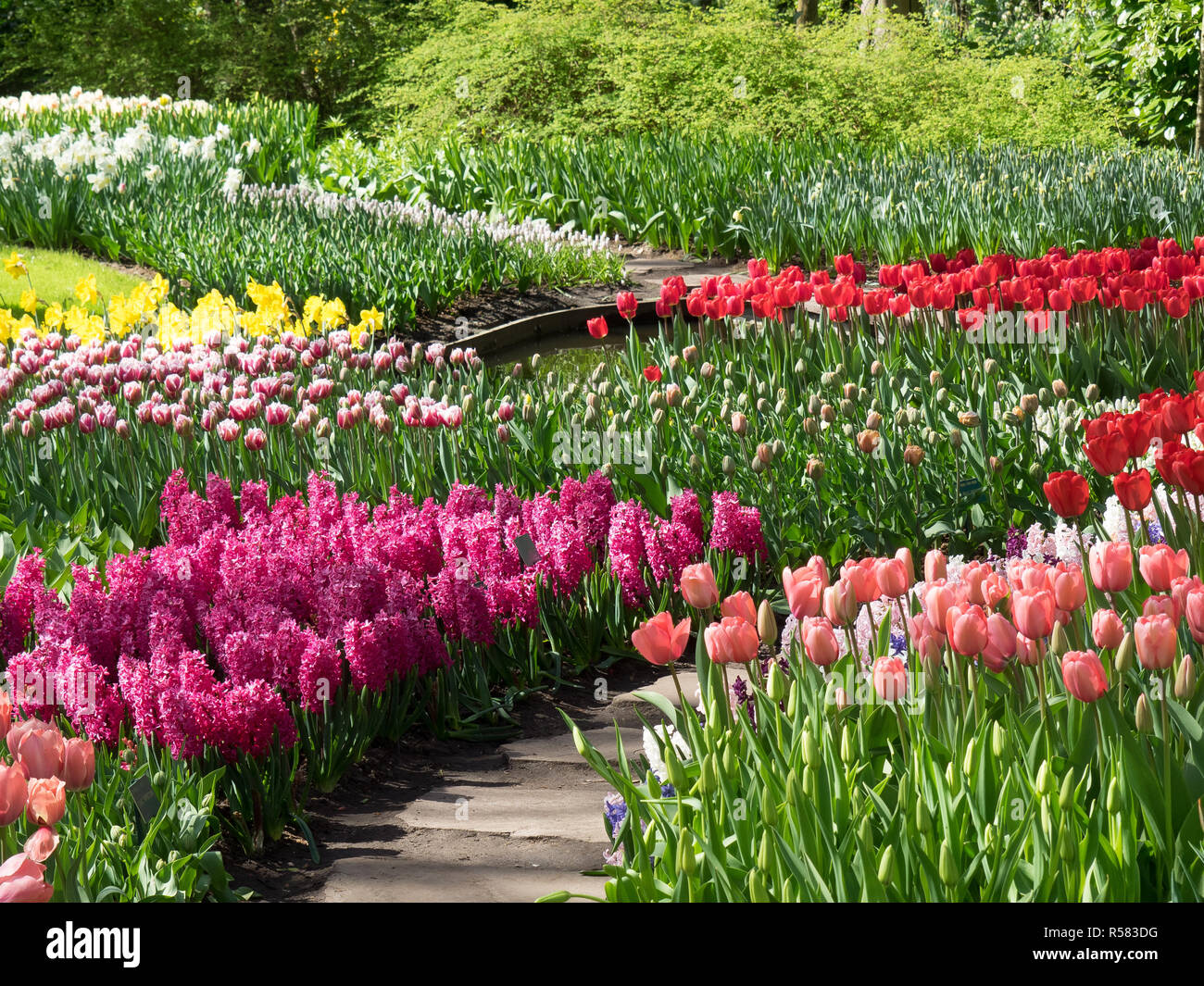 spring in the netherlands Stock Photo - Alamy