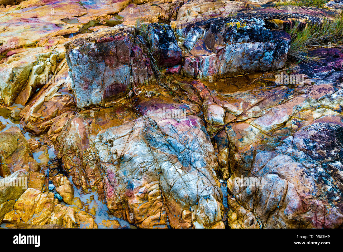 Colourful rocks at Diamond Head coast, Australia Stock Photo - Alamy