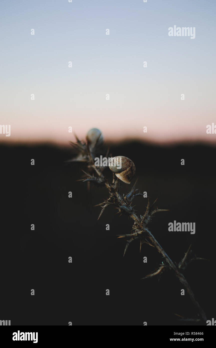 Beautiful shots of nature hi-res stock photography and images - Alamy